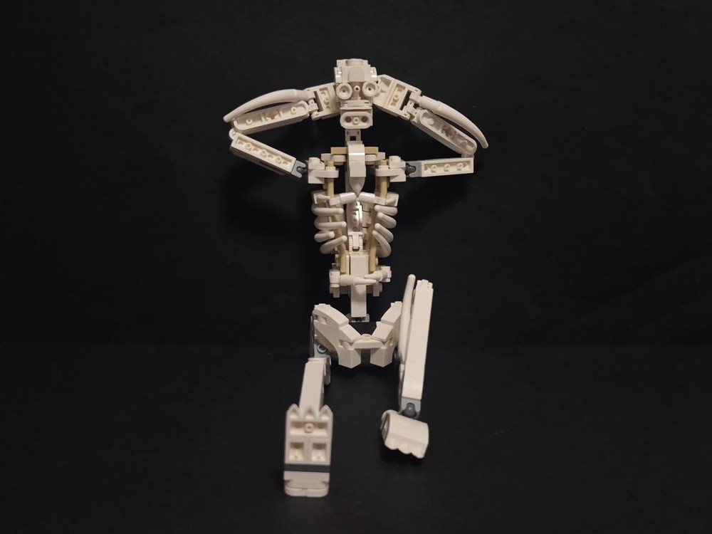 LEGO MOC-233695 Human skeleton by jemunoz0 | Rebrickable - Build with LEGO
