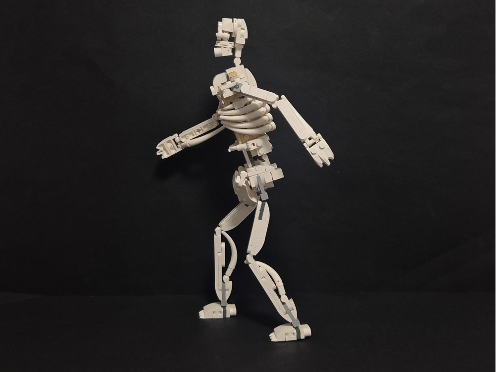 LEGO MOC-233695 Human skeleton by jemunoz0 | Rebrickable - Build with LEGO