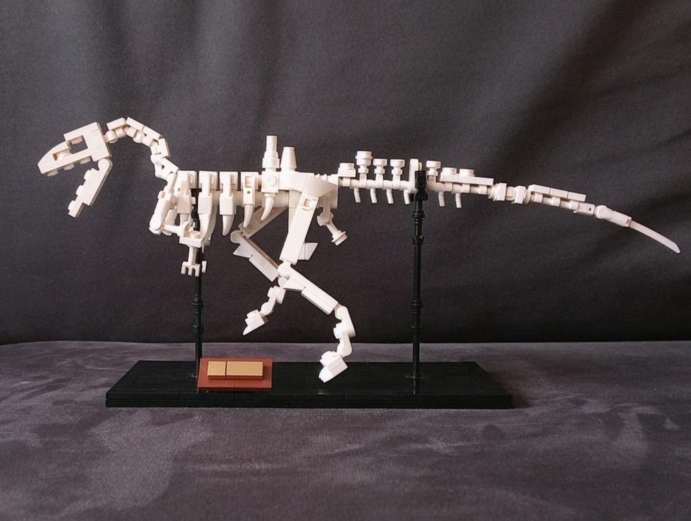 LEGO MOC concavenator corcovatus fossil by APX Predator | Rebrickable ...