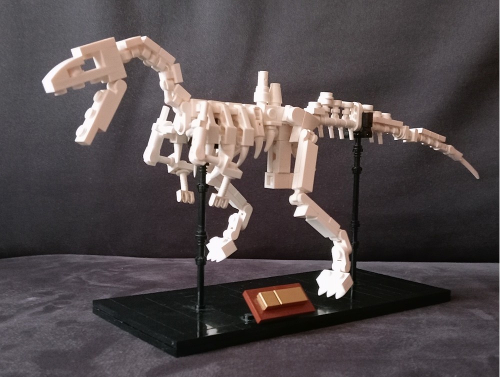 LEGO MOC concavenator corcovatus fossil by APX Predator | Rebrickable ...