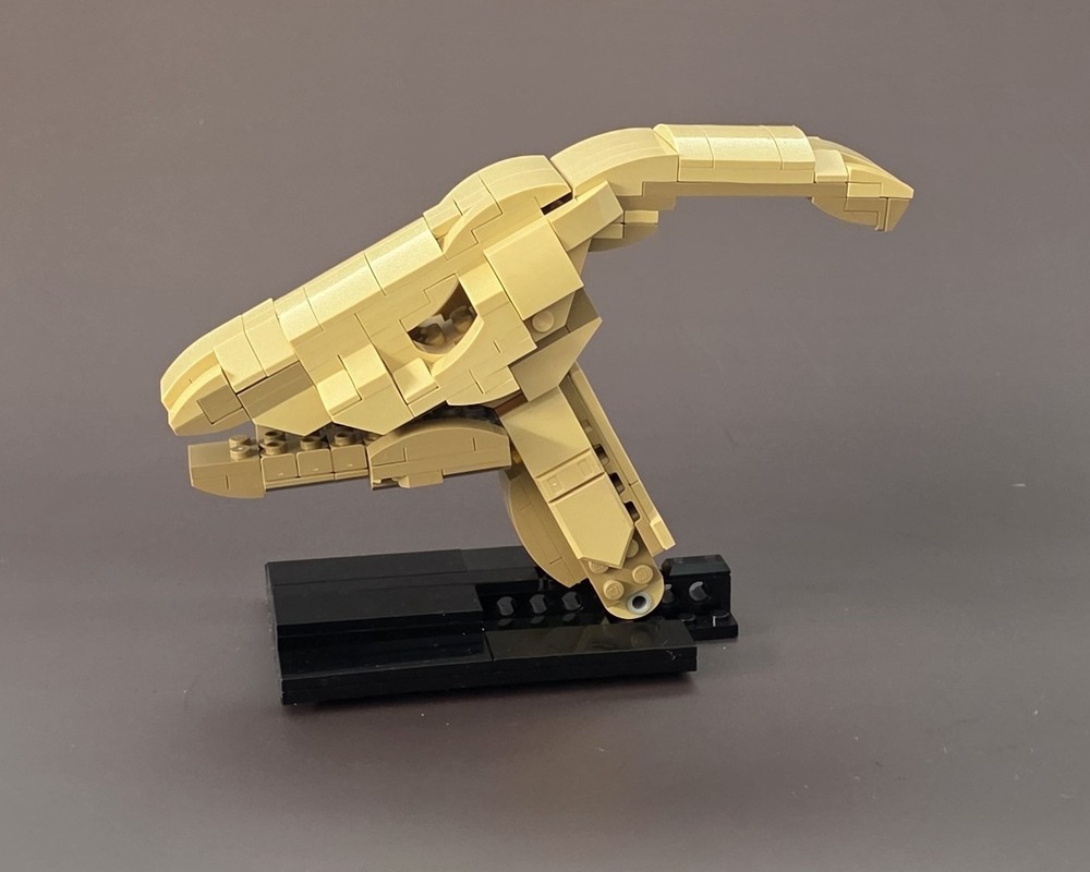 LEGO MOC Parasaurolophus fossil skull by Terraxz | Rebrickable - Build ...