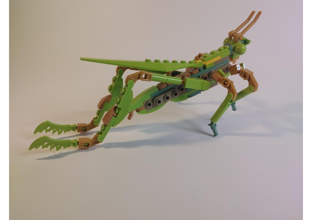 LEGO MOC Grasshopper - Chinese Mantis 21342 alternate build by ...