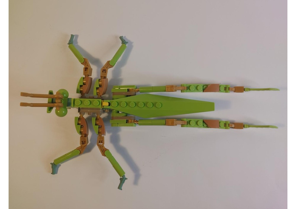 LEGO MOC-236770 Grasshopper - Chinese Mantis 21342 alternate build by ...