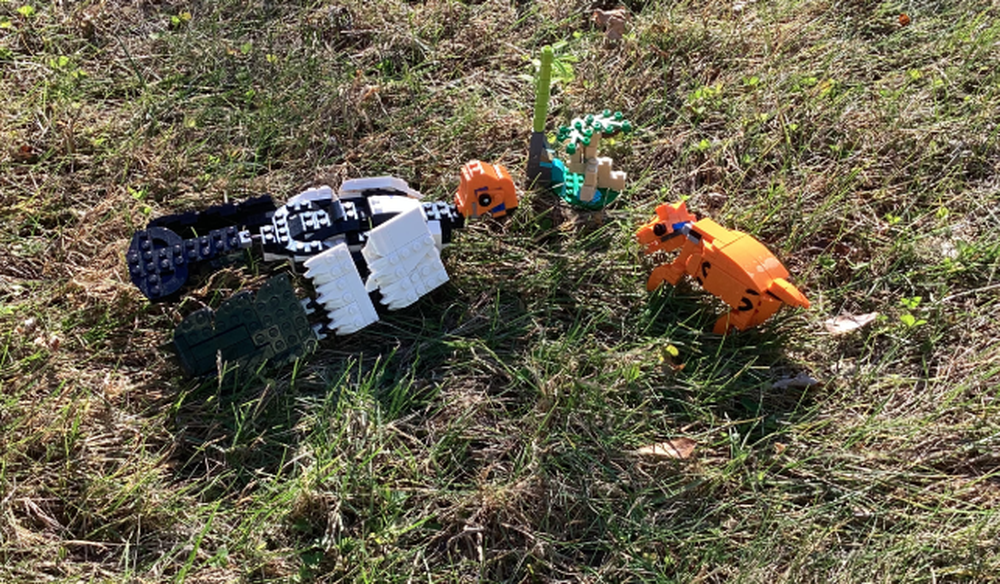 LEGO MOC-239544 Argentavis and Diadiaphorus by Testificate_Man ...