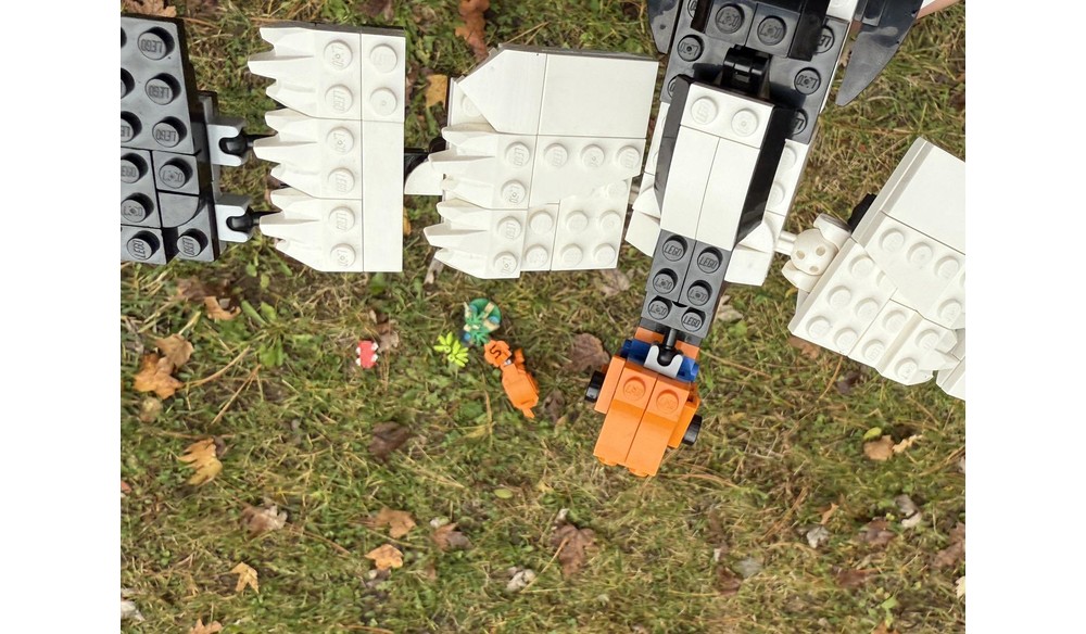 LEGO MOC Argentavis and Diadiaphorus by Testificate_Man | Rebrickable ...