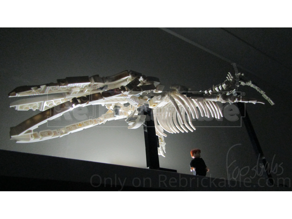 LEGO MOC-242648 21320 Blue Whale (Balaenoptera musculus) by Foosbubs ...