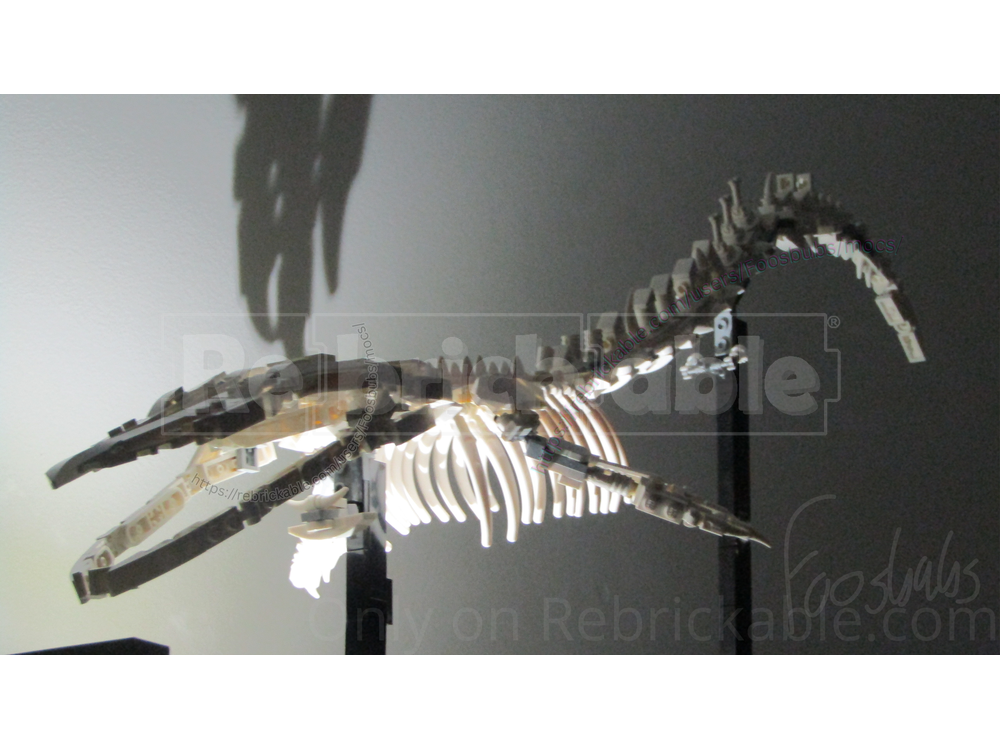 LEGO MOC-242648 21320 Blue Whale (Balaenoptera musculus) by Foosbubs ...