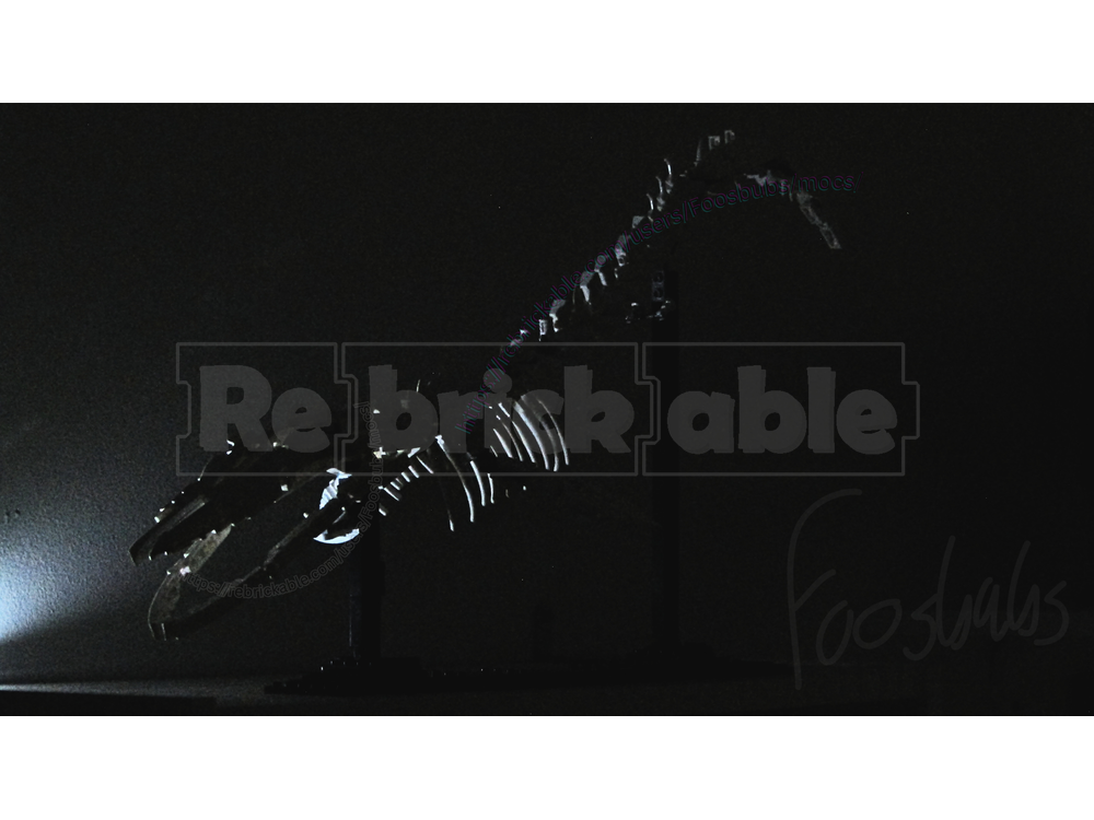 LEGO MOC-242648 21320 Blue Whale (Balaenoptera musculus) by Foosbubs ...