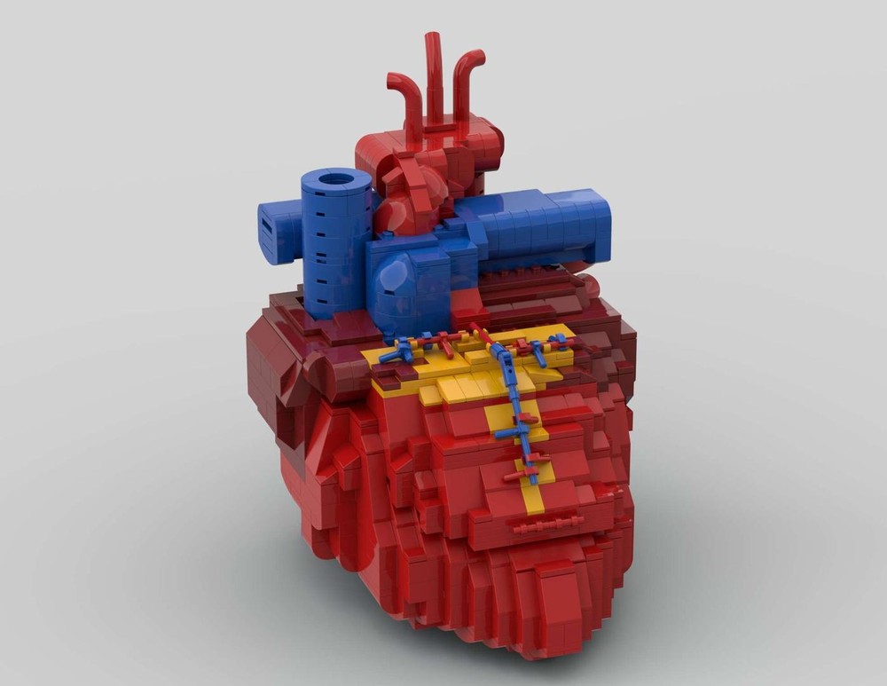 LEGO MOC Heart Anatomy V2 refined by Dxtrse | Rebrickable - Build with LEGO