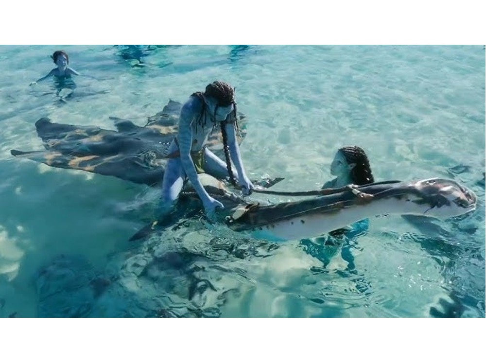 LEGO MOC Lego 31128 - Ilu (from Avatar : The Way of Water) by ...