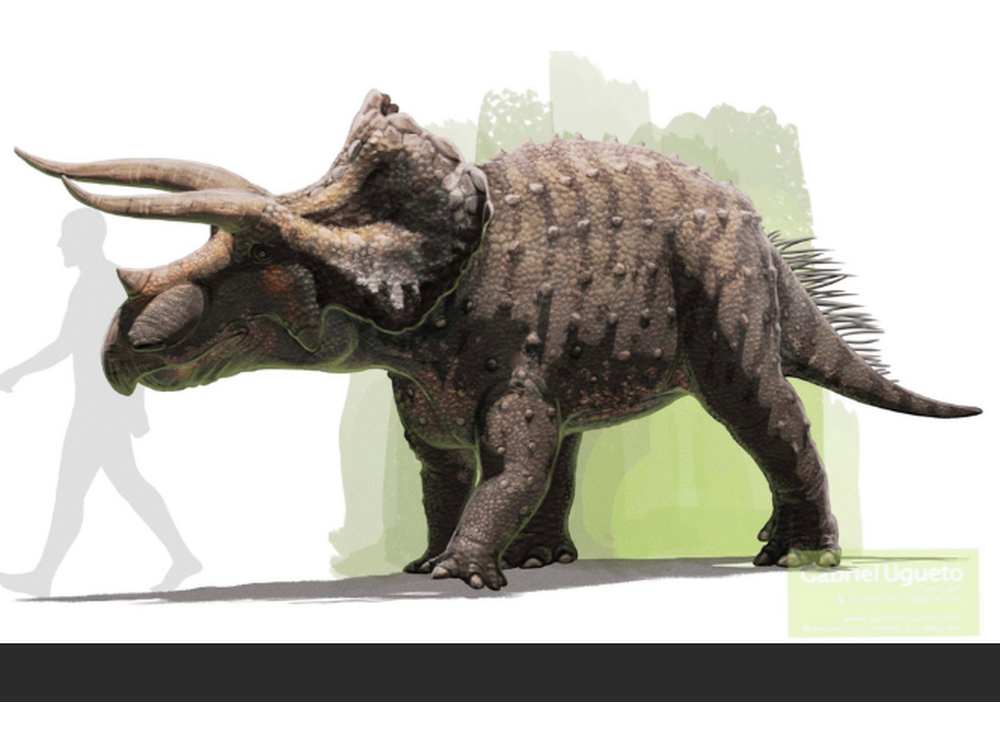 LEGO MOC-262385 Triceratops horridus (Steve) paleo accurate by ...