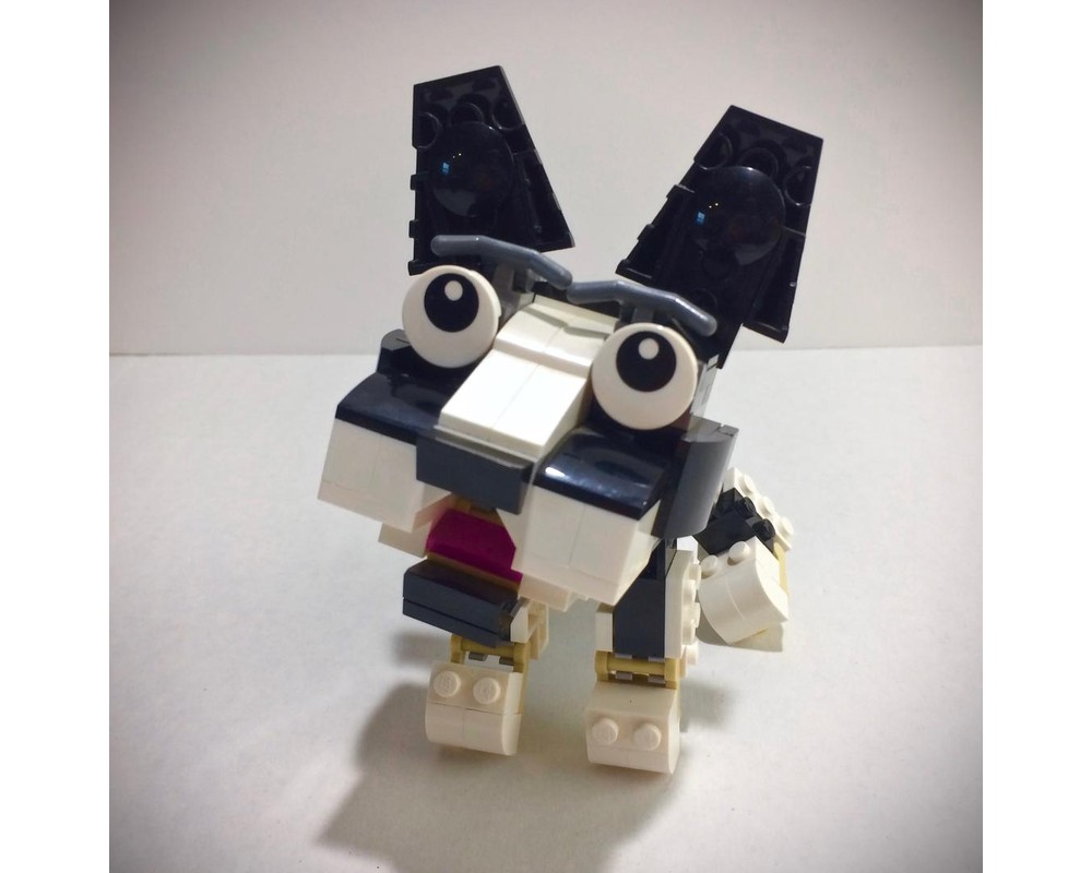 LEGO MOC Boston Terrier by underthebricks | Rebrickable - Build with LEGO