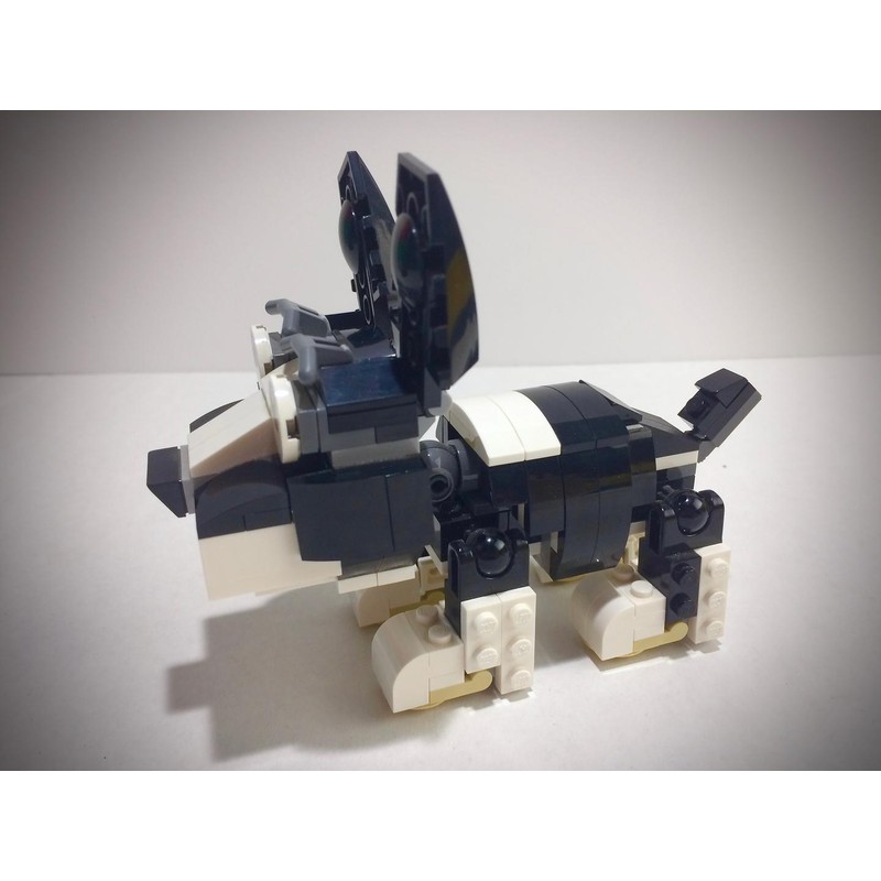 LEGO MOC Boston Terrier by underthebricks | Rebrickable - Build with LEGO