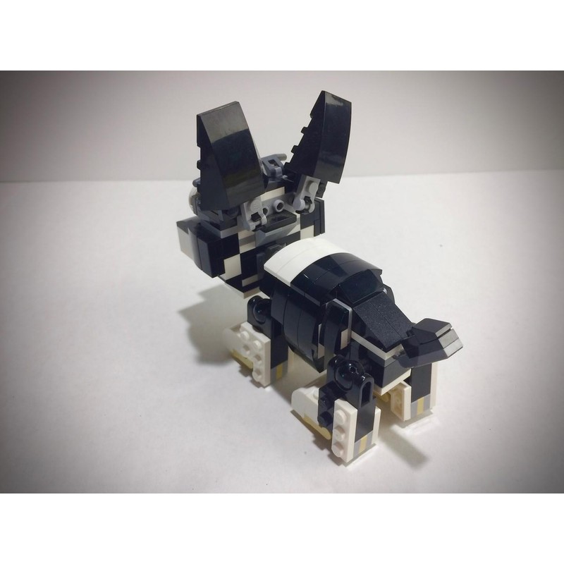 LEGO MOC Boston Terrier by underthebricks | Rebrickable - Build with LEGO