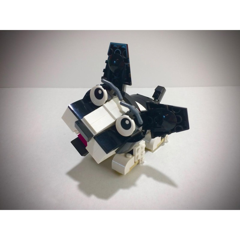 LEGO MOC Boston Terrier by underthebricks | Rebrickable - Build with LEGO