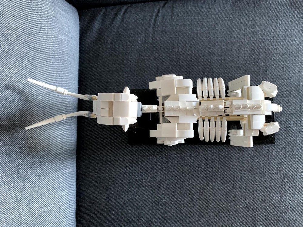 LEGO MOC Mammoth fossil by tobias79 | Rebrickable - Build with LEGO