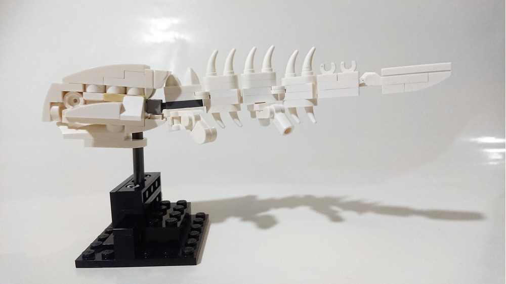 LEGO MOC Alternative Fossils of a Plesiosaurus and an armoured Fish for ...