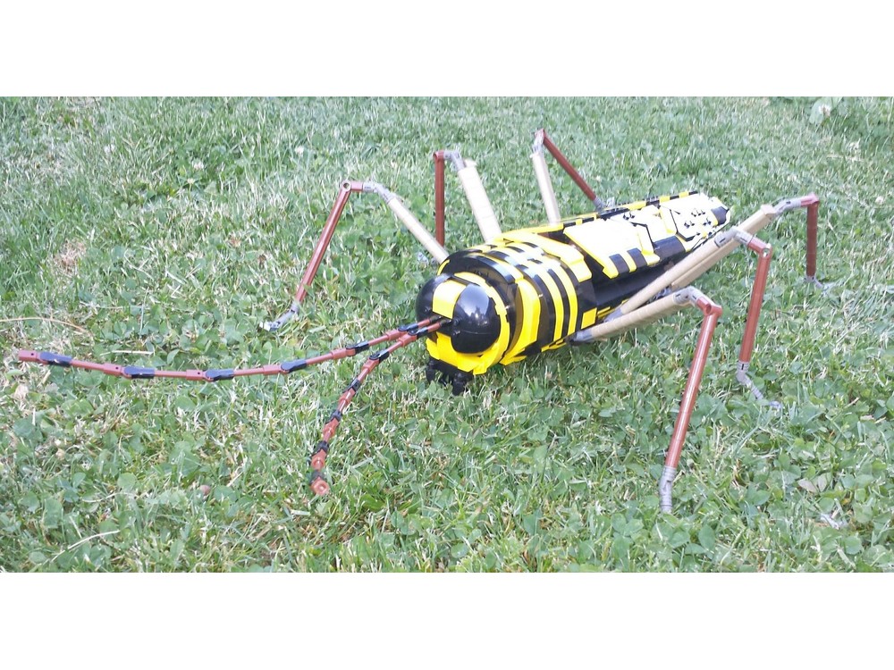 LEGO MOC Locust Borer Beetle by acj76 | Rebrickable - Build with LEGO