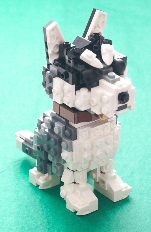 LEGO MOC Miniature Husky by nxtquy | Rebrickable - Build with LEGO