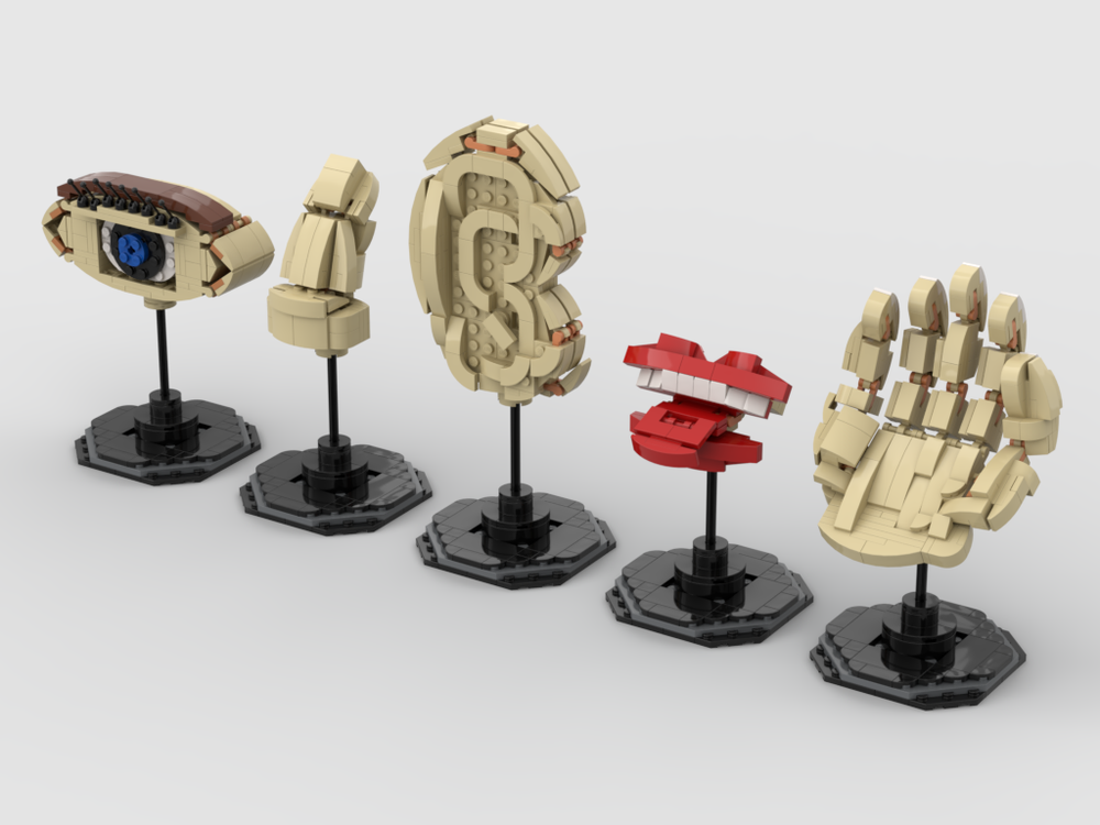 LEGO MOC The Five Senses by gabizon | Rebrickable - Build with LEGO