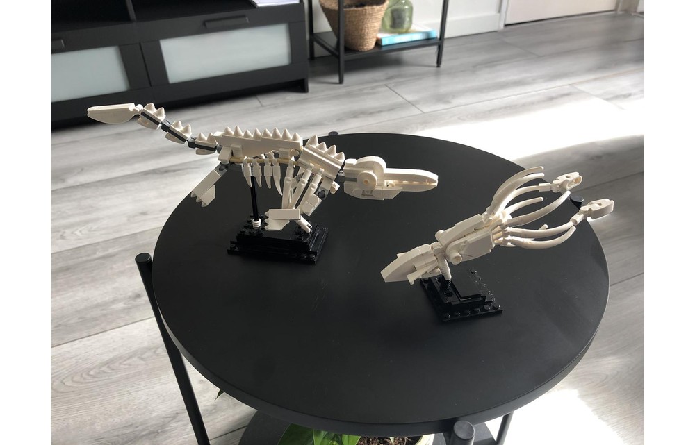 LEGO MOC Ichthyosaur and Tusoteuthis skeleton - Dinosaur Fossils by ...