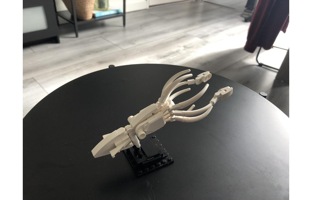 LEGO MOC Ichthyosaur and Tusoteuthis skeleton - Dinosaur Fossils by ...