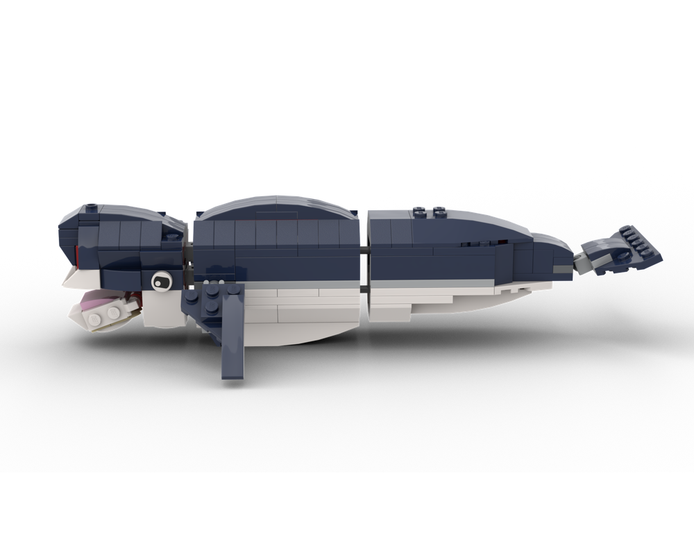 LEGO MOC Beluga Whale 31088 2 to 1 by bricksmartworkshop | Rebrickable ...