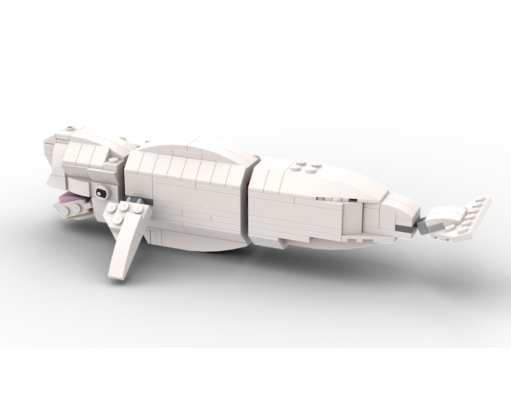 LEGO MOC Beluga Whale (White) by bricksmartworkshop | Rebrickable ...