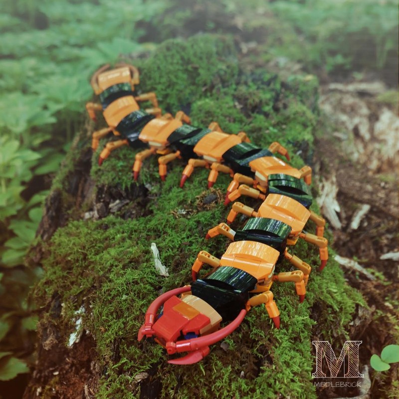 LEGO MOC Scalopendra Hardwickei - Tiger Centipede by Themiddlebrick ...