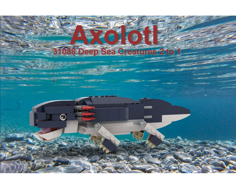 LEGO MOC Axolotl 31088 2 to 1 by Janik | Rebrickable - Build with LEGO
