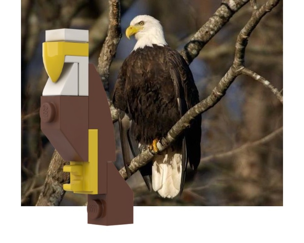 LEGO MOC 8-piece Bald Eagle by LegoOri | Rebrickable - Build with LEGO