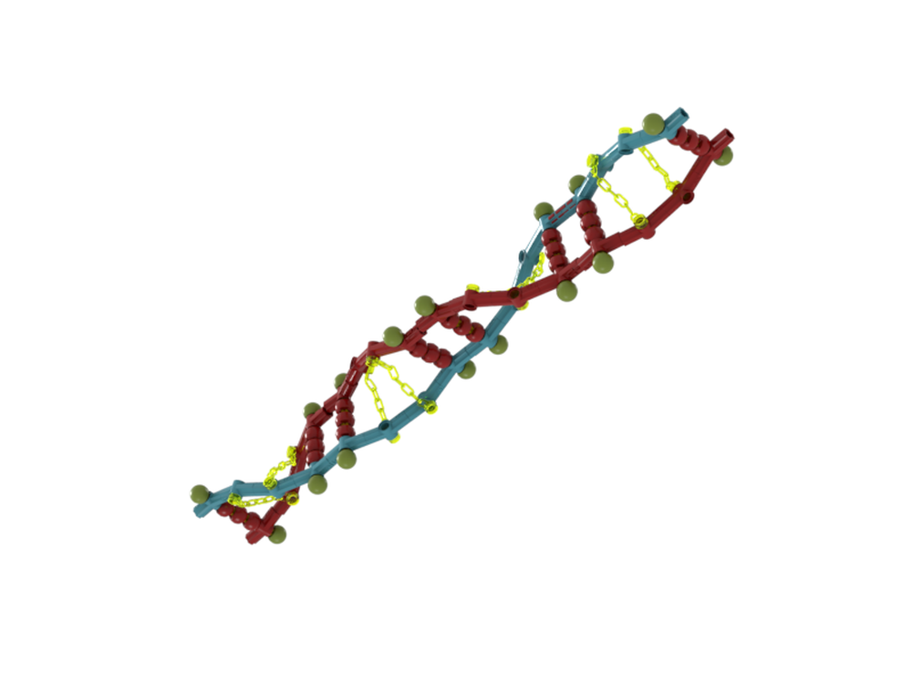 LEGO MOC DNA double helix by namowen | Rebrickable - Build with LEGO