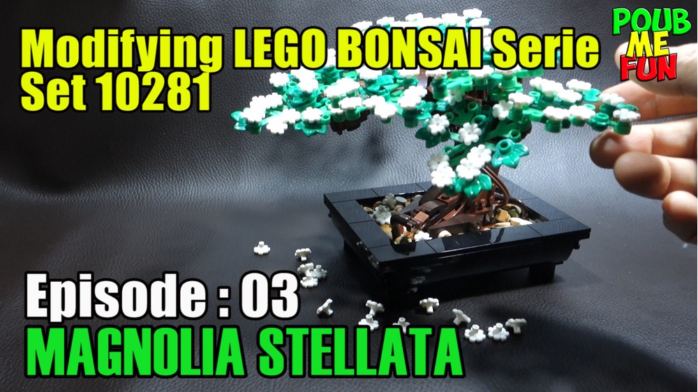 LEGO MOC Magnolia Stellata Bonsai - Modifying LEGO Bonsai Tree Serie ...