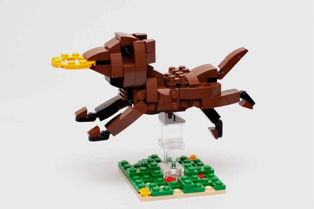 LEGO MOC Frisbee Dog by timeremembered | Rebrickable - Build with LEGO