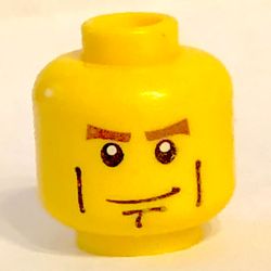 LEGO PART 3626cpr0325 Minifig Head, Brown Eyebrows, White Pupils ...