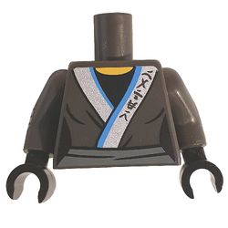 LEGO PART 973c75h03pr3859 Torso Robe, Azure Trim, Asian Characters ...