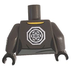 LEGO PART 973c75h03pr3859 Torso Robe, Azure Trim, Asian Characters ...