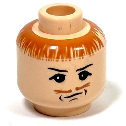 LEGO PART 3626bpr0181 Minifig Head Peter Pettigrew (Wormtail ...