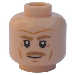 LEGO PART 3626cpr9925 Minifig Head Antoc Merrick, Dual Sided, Dark Tan ...