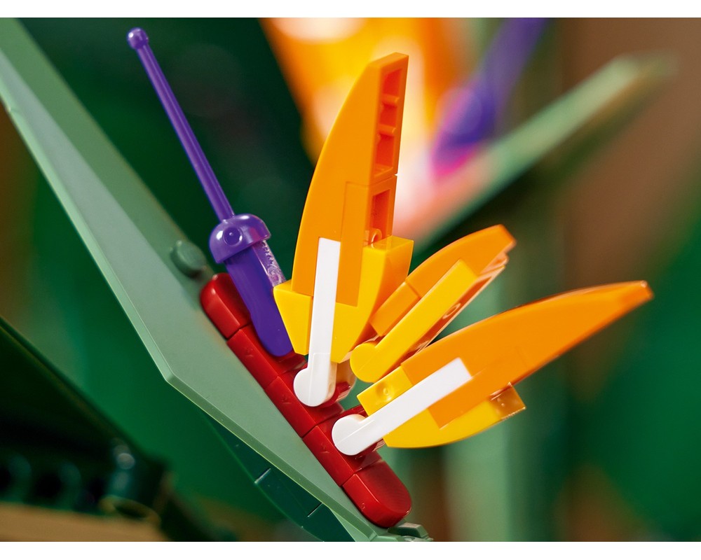LEGO Set 10289-1 Bird of Paradise (2021 Icons) | Rebrickable - Build ...