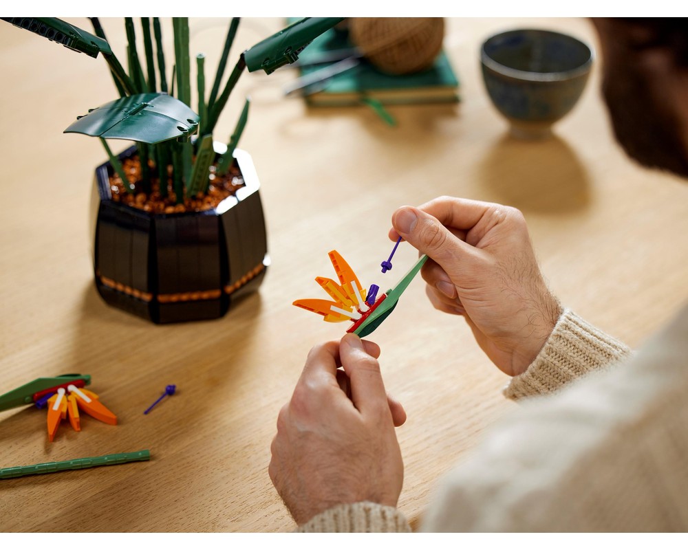 LEGO Set 10289-1 Bird of Paradise (2021 Botanicals) | Rebrickable ...