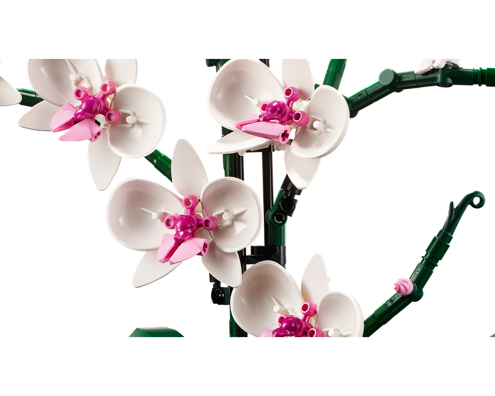 LEGO Set 10311-1 Orchid (2022 Botanicals) | Rebrickable - Build with LEGO