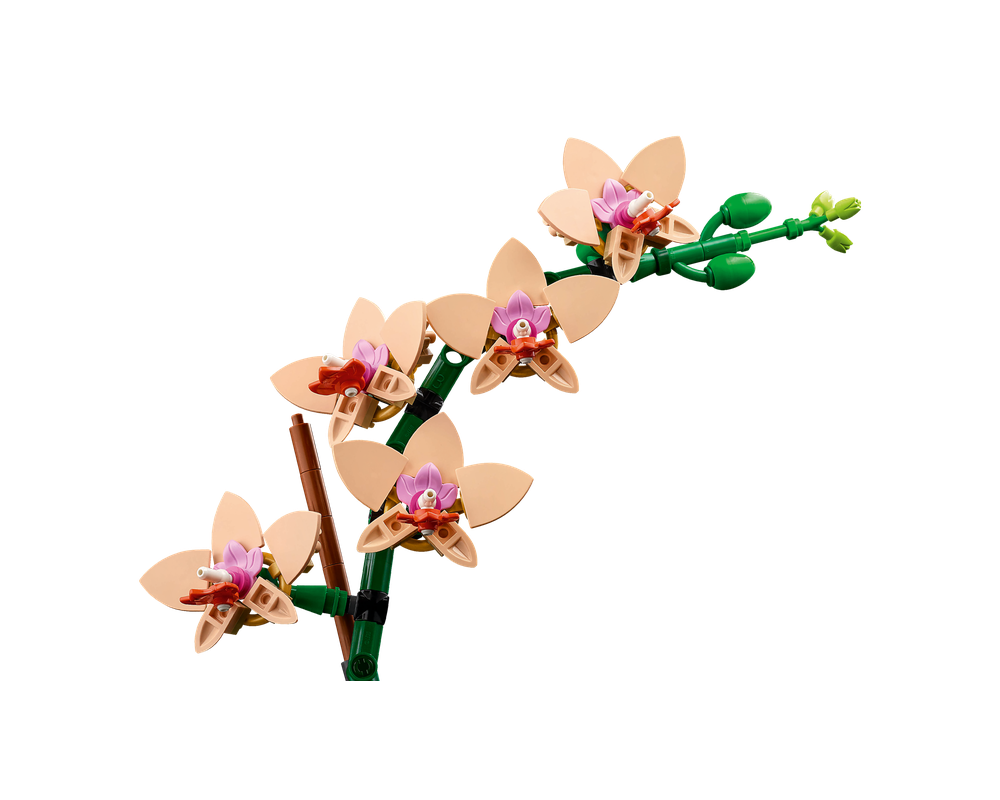 LEGO Set 10343-1 Mini Orchid (2025 Botanicals) | Rebrickable - Build ...