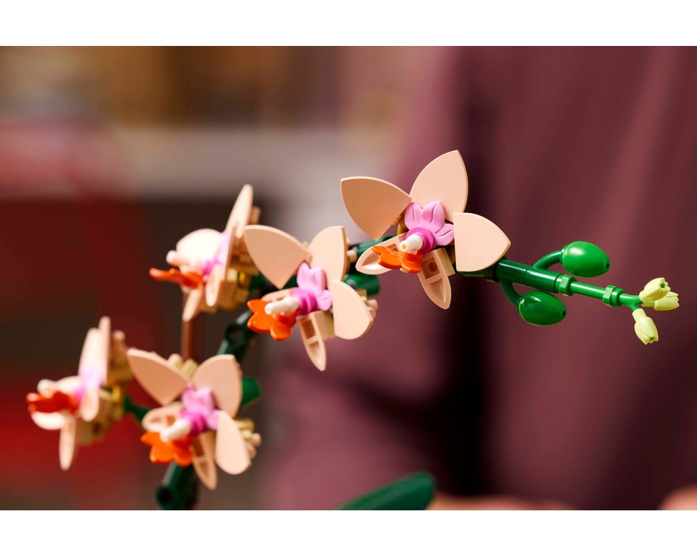 LEGO Set 10343-1 Mini Orchid (2025 Botanicals) | Rebrickable - Build ...