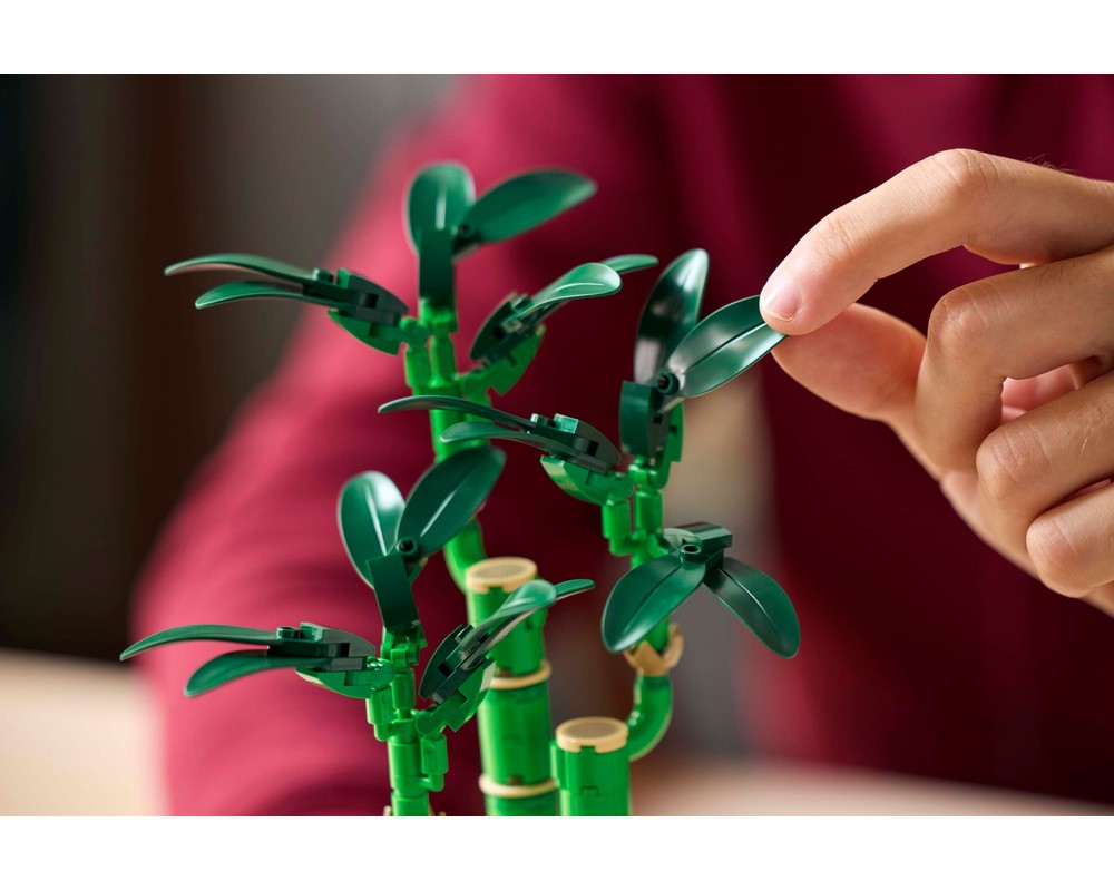 LEGO Set 10344-1 Lucky Bamboo (2025 Botanicals) | Rebrickable - Build ...