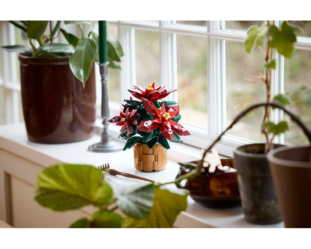 LEGO Set 10370-1 Poinsettia (2024 Seasonal > Christmas) | Rebrickable ...