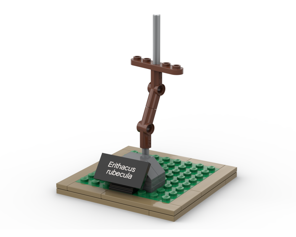 LEGO Set 21301-1-s1 Robin Display Stand (2015 LEGO Ideas and CUUSOO ...