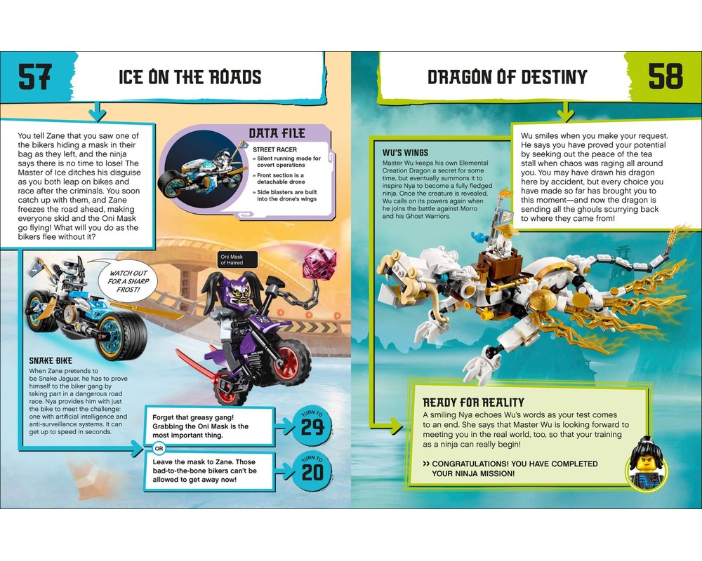 LEGO Set 5006256-1 Ninjago: Choose Your Ninja Mission (2020 Books > Story Books) | Rebrickable ...