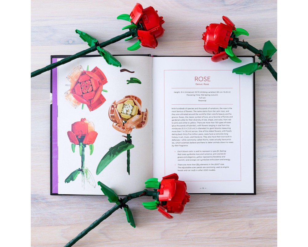 LEGO Set 5008877-1 Botanical Almanac: A Field Guide to Brick-Built ...