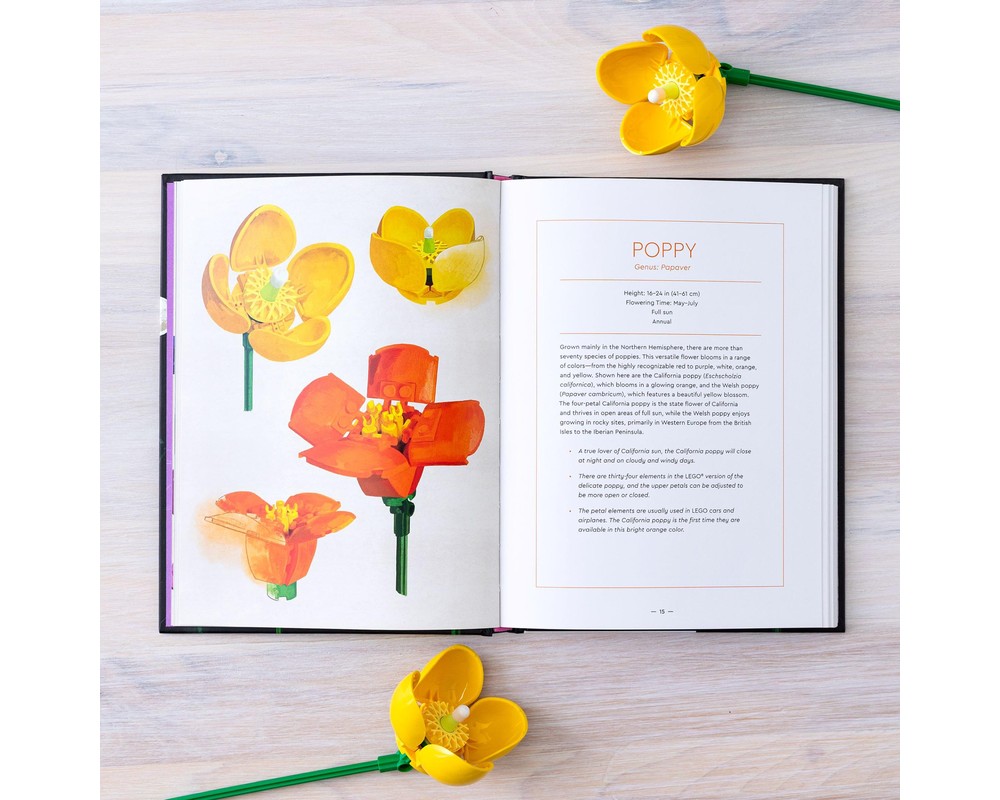 LEGO Set 5008877-1 Botanical Almanac: A Field Guide to Brick-Built ...